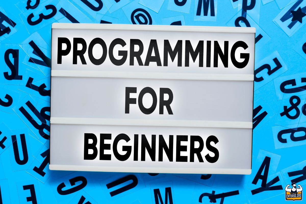 Comment Maîtriser Ce Guide Complet Pour Débutants